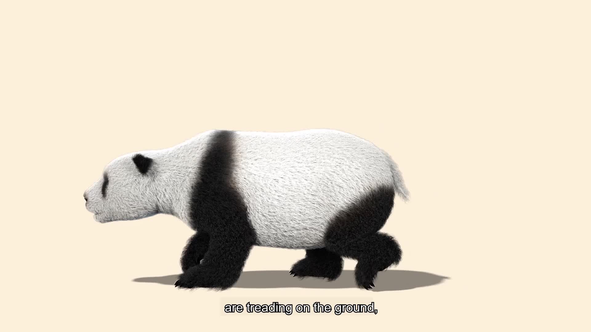 Flying Dinosaurs--中国数字科技馆