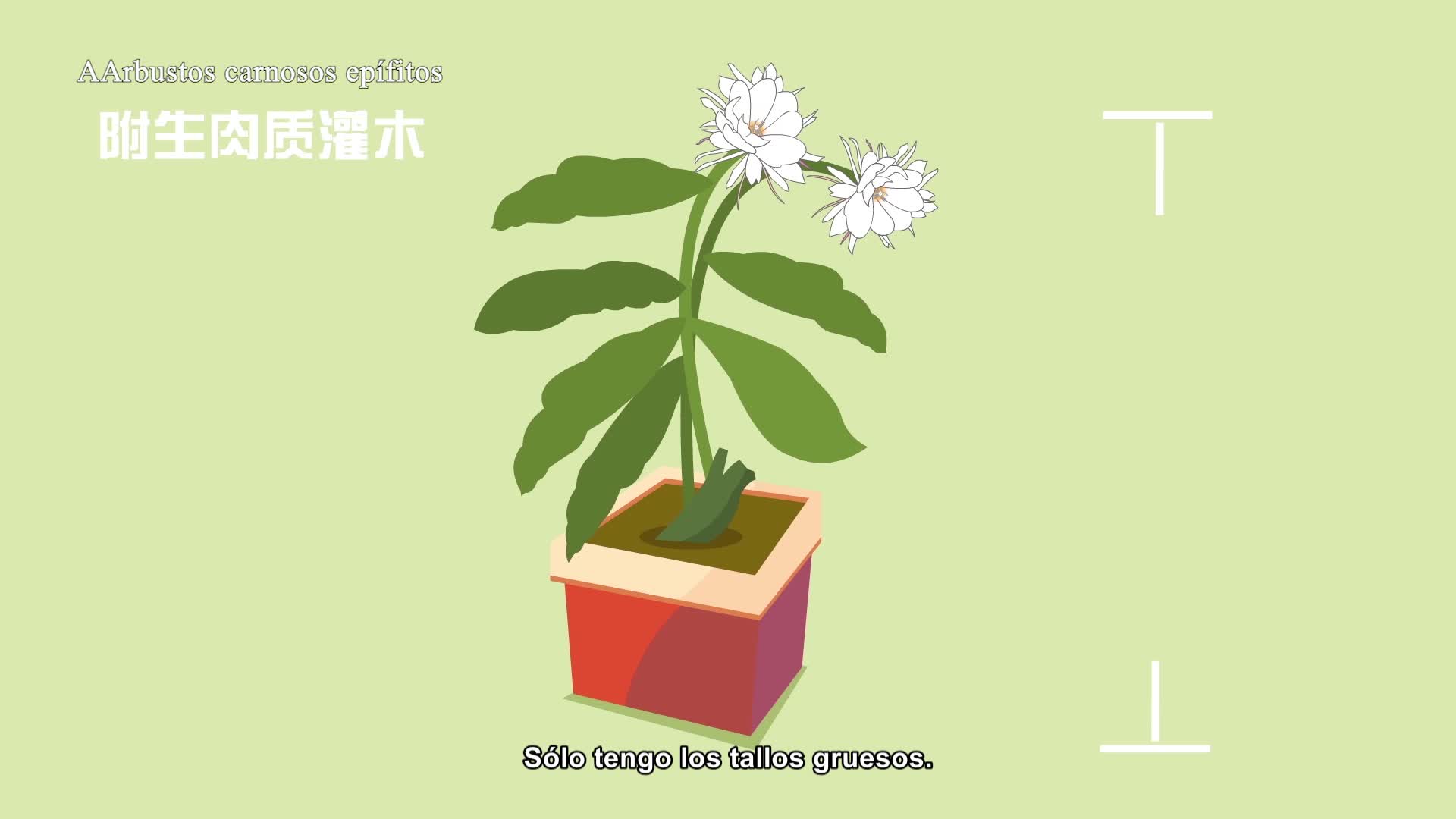 ¿Por qué el trompo no se cae?--中国数字科技馆