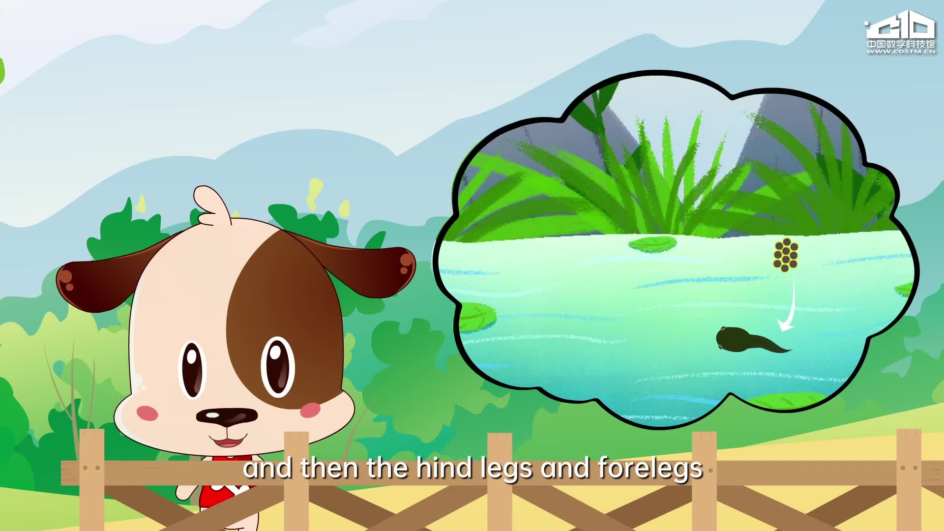 Lungs for Breathing--中国数字科技馆